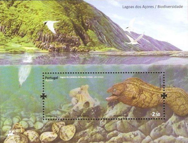 Animals and Plants in the Azores | Guide to The Azores