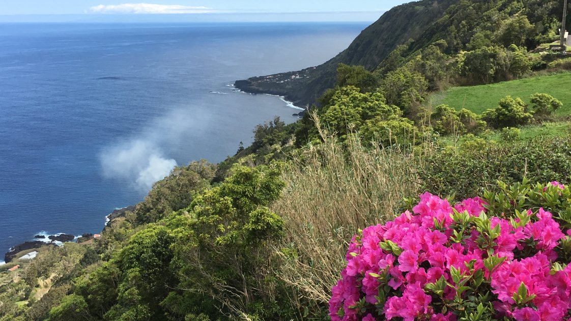 Animals and Plants in the Azores | Guide to the Azores