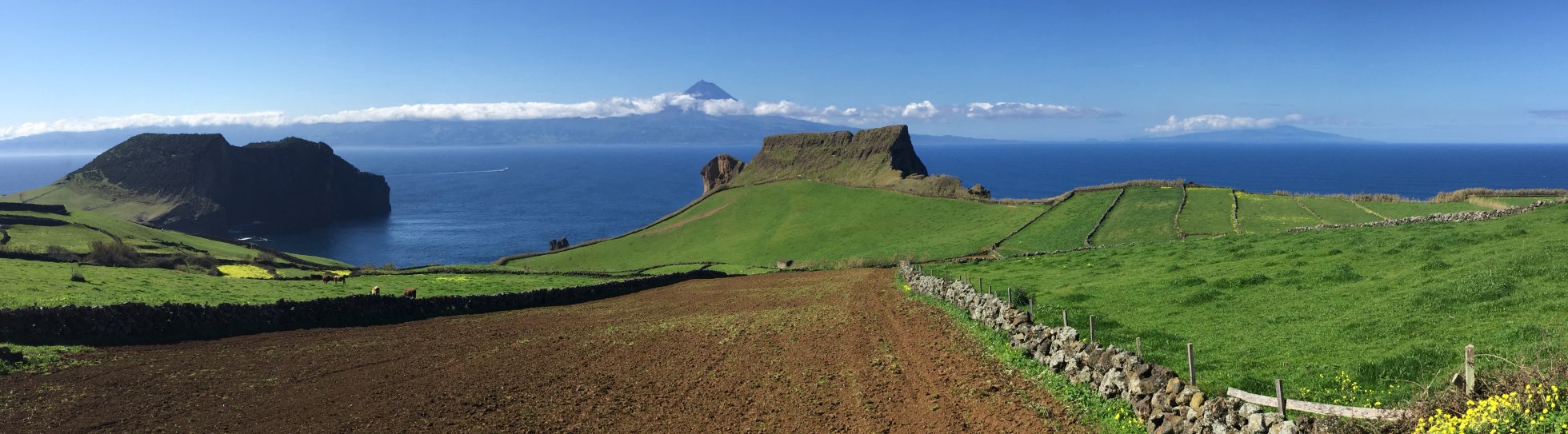 Azores Wonders | Guide to the Azores