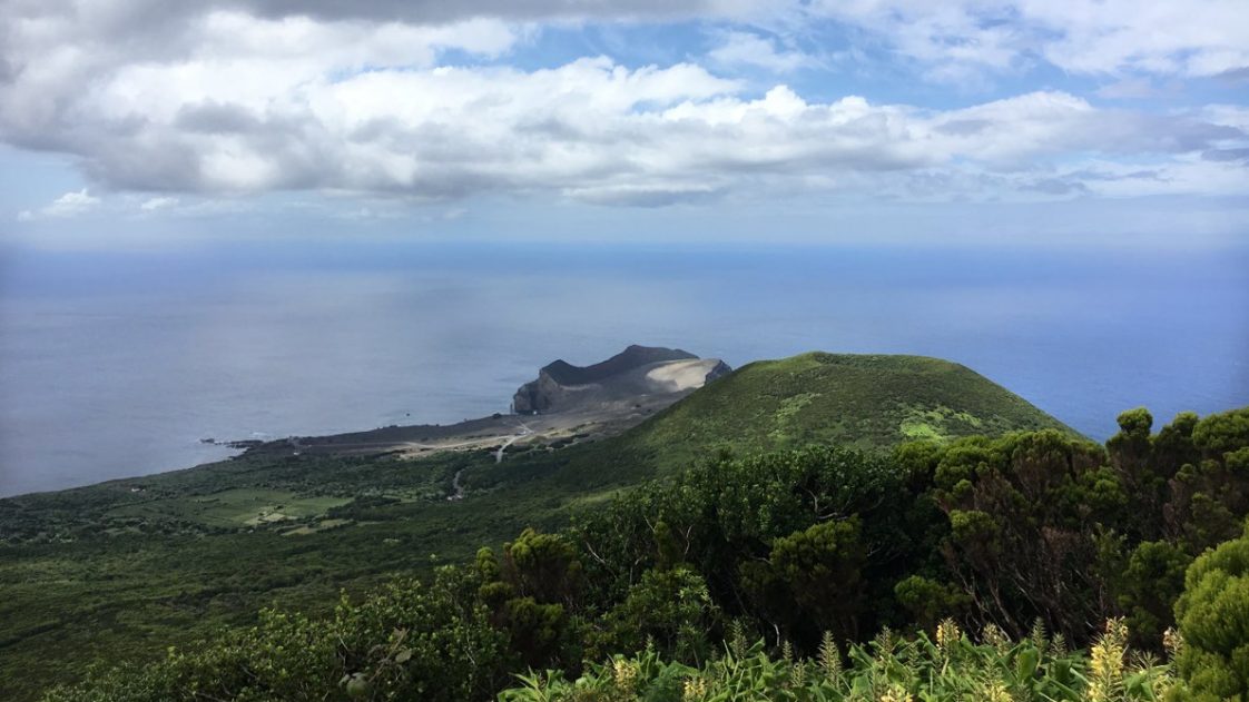 Animals and Plants in the Azores | Guide to the Azores