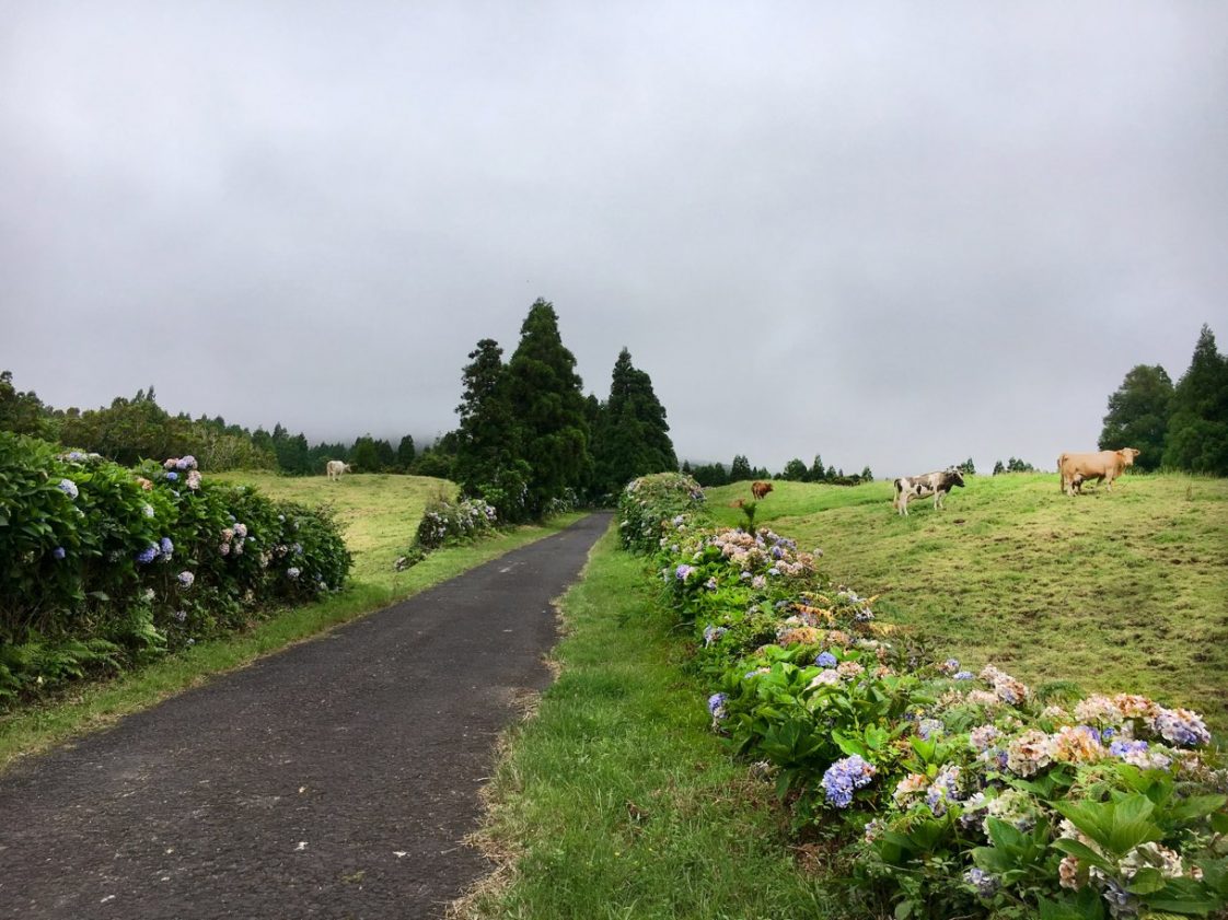 Faial Island (the Blue Island) | Guide to The Azores