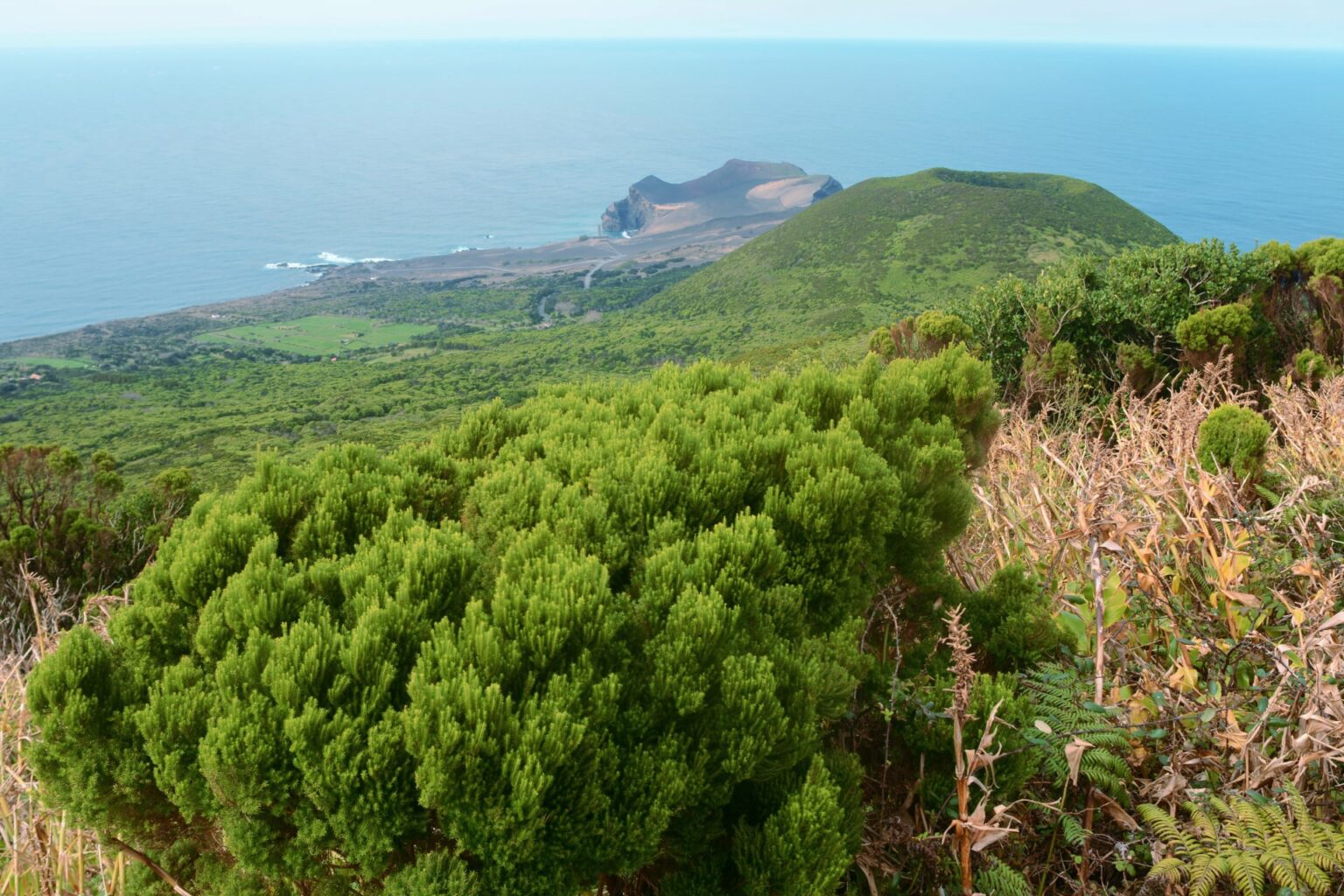 The 10 best hiking trails in Faial | Guide to The Azores