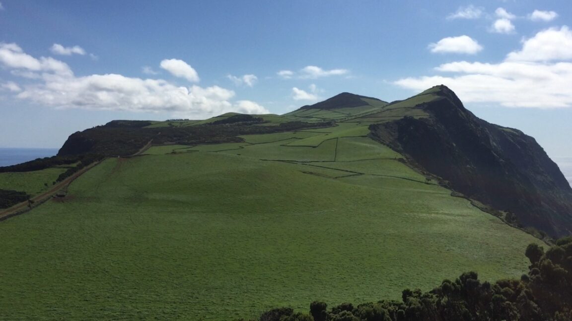 Animals and Plants in the Azores | Guide to the Azores